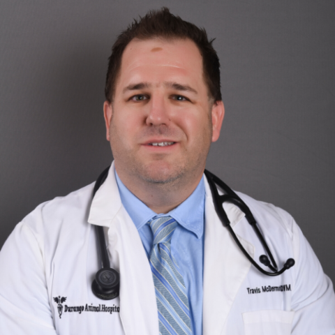 Las Vegas, NV 89147 Veterinarians | Durango Animal Hospital