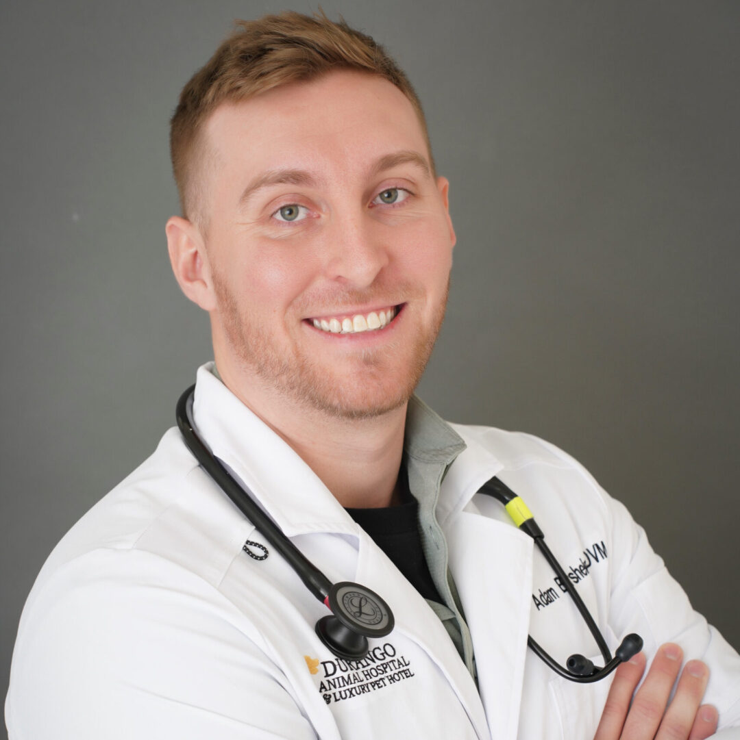 Las Vegas, NV 89147 Veterinarians | Durango Animal Hospital